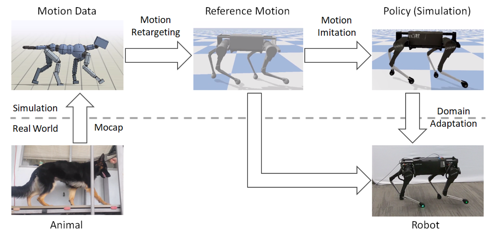 Data-Driven Quadruped Locomotion with RAC: From Videos to Robots